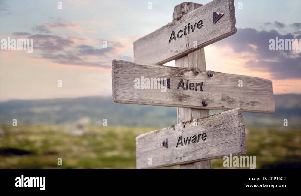 Alert aware awareness Stock Videos & Footage - HD and 4K Video Clips ...