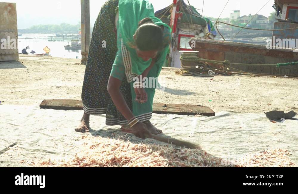 Sweeping the ground Stock Videos & Footage - HD and 4K Video Clips - Alamy