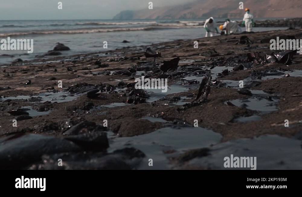 Petroleum beach pollution Stock Videos & Footage - HD and 4K Video ...