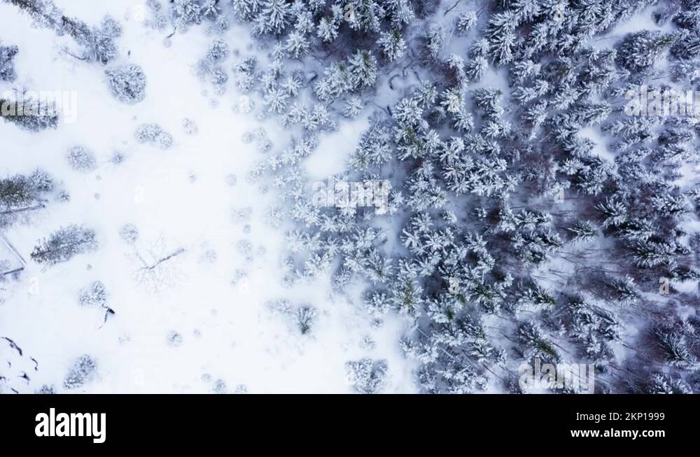 Snowscape forest Stock Videos & Footage - HD and 4K Video Clips - Alamy