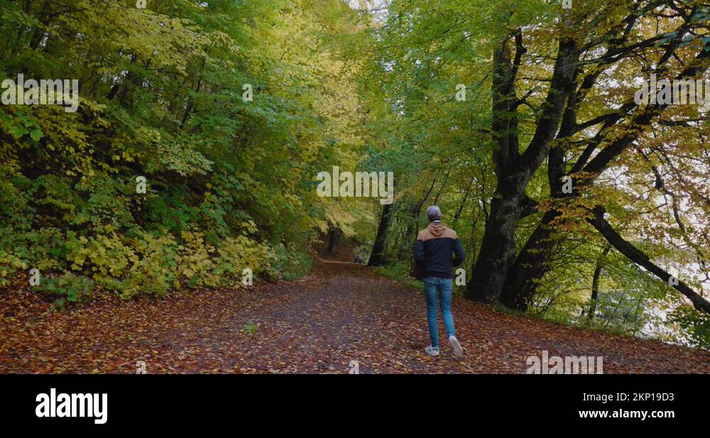 Young Tall Guy With Cap Walks With Hands in Pockets on a Path into The ...