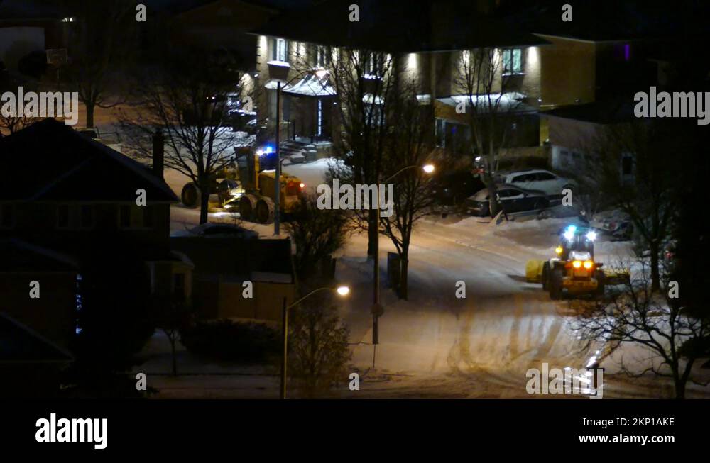 Forest clearing night Stock Videos & Footage - HD and 4K Video Clips ...