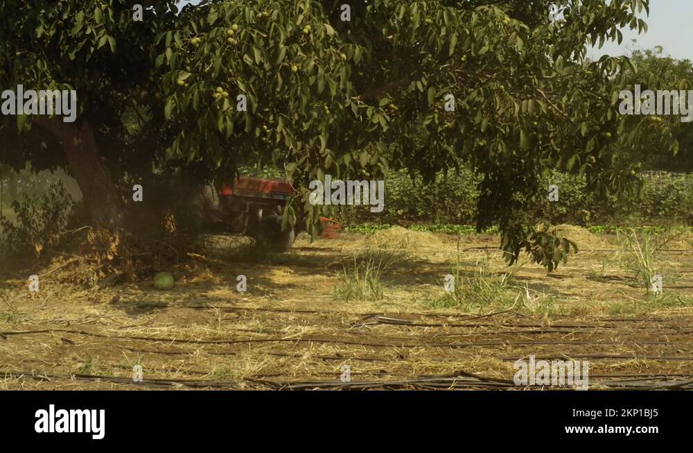 Joy riding Stock Videos & Footage - HD and 4K Video Clips - Alamy