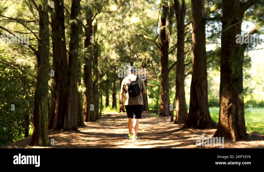 Man walking down path Stock Videos & Footage - HD and 4K Video Clips ...