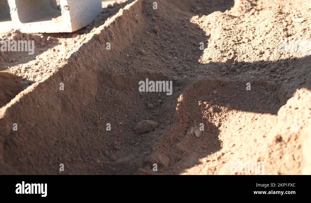 Sandy soil garden Stock Videos & Footage - HD and 4K Video Clips - Alamy