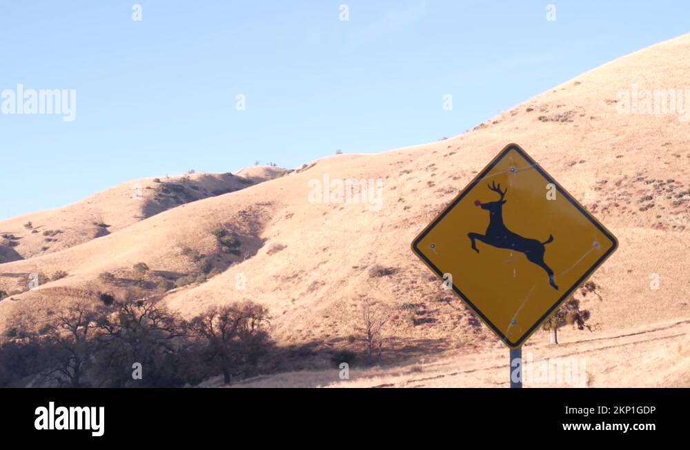 Deer or wild animals road sign Stock Videos & Footage - HD and 4K Video ...