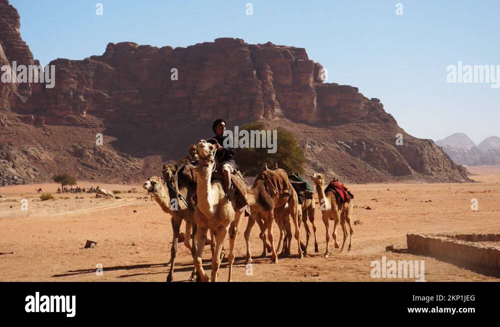 Camel rock group Stock Videos & Footage - HD and 4K Video Clips - Alamy