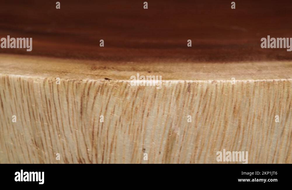 Dried log of tree Stock Videos & Footage - HD and 4K Video Clips - Alamy
