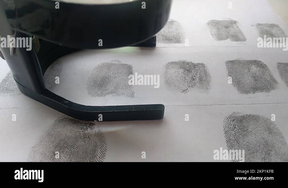 Identification sheet Stock Videos & Footage - HD and 4K Video Clips - Alamy