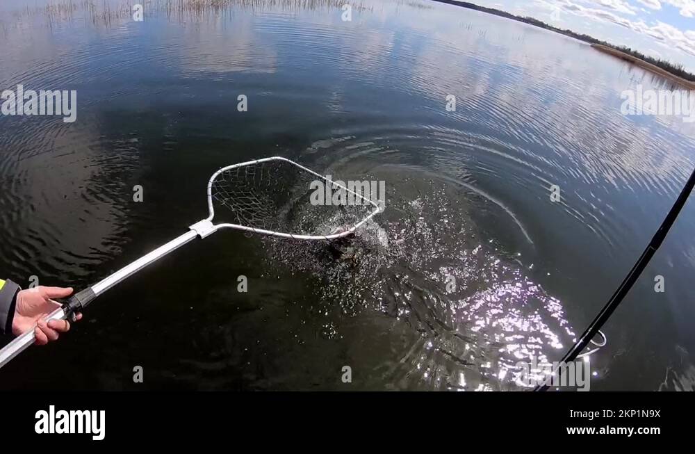 Happy catch Stock Videos & Footage - HD and 4K Video Clips - Alamy