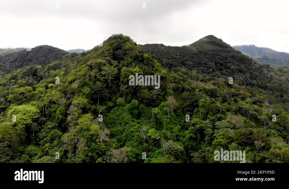Jungle covered hills from the walls of Valle de Anton volcanic crater ...