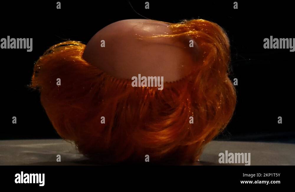 Rotating head Stock Videos & Footage - HD and 4K Video Clips - Alamy