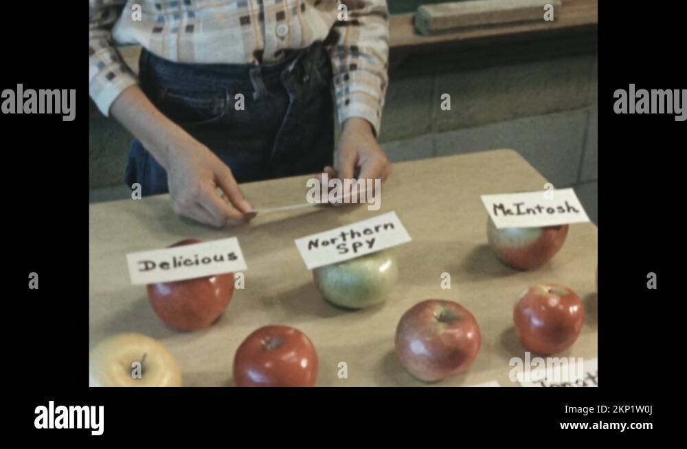 Vintage varieties Stock Videos & Footage - HD and 4K Video Clips - Alamy