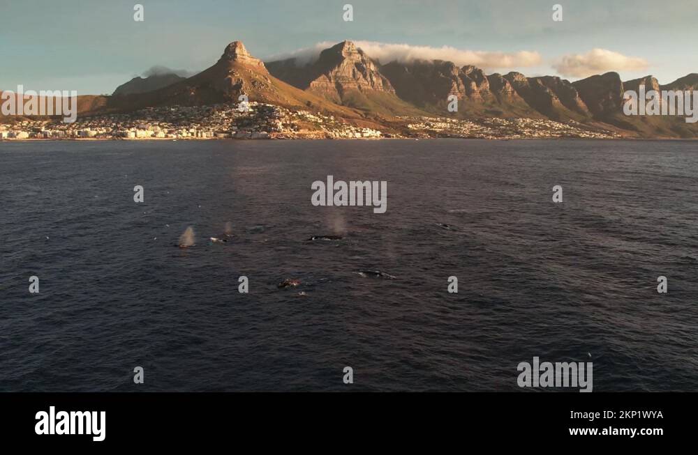 Jumping table Stock Videos & Footage - HD and 4K Video Clips - Alamy