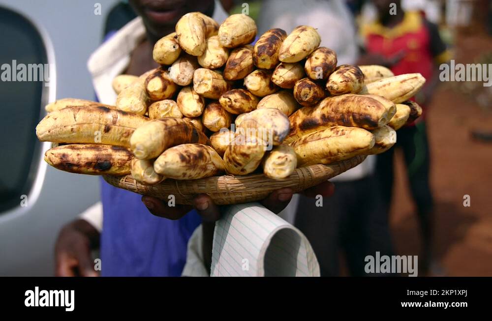 Bananas in uganda Stock Videos & Footage - HD and 4K Video Clips - Alamy