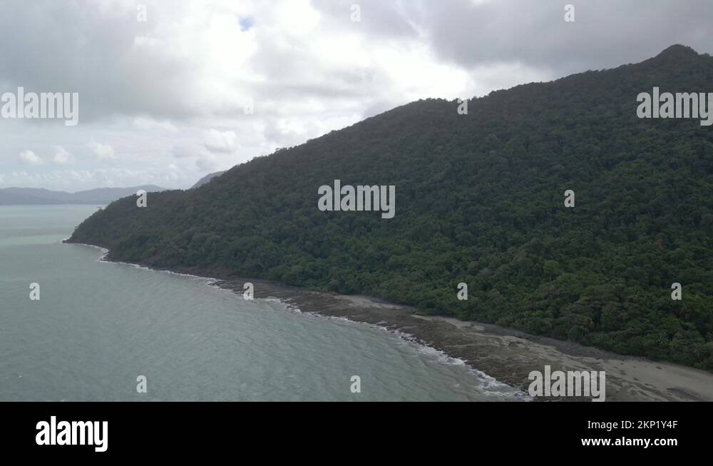 Idyllic View Of Lush Vegetations At Daintree Rainforest Mountains In ...