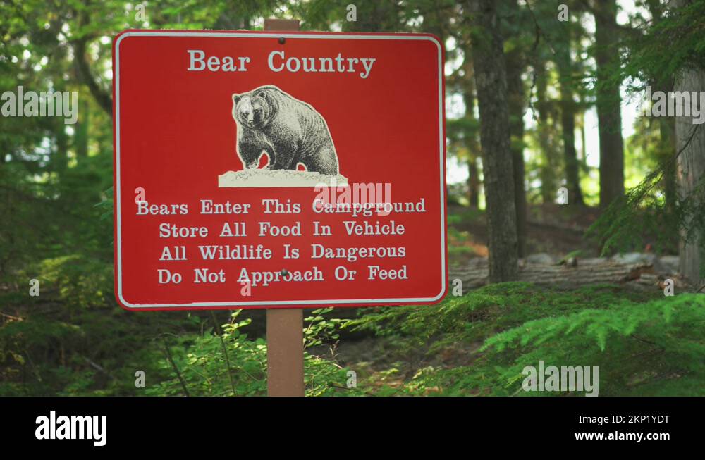 Grizzly bear country sign Stock Videos & Footage - HD and 4K Video ...