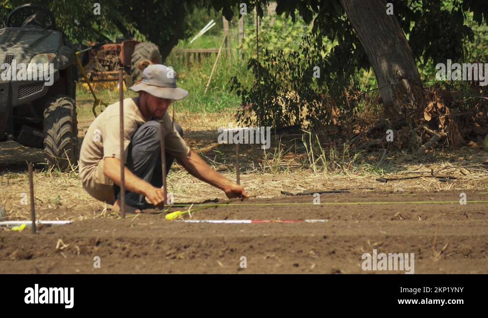 Test plot Stock Videos & Footage - HD and 4K Video Clips - Alamy