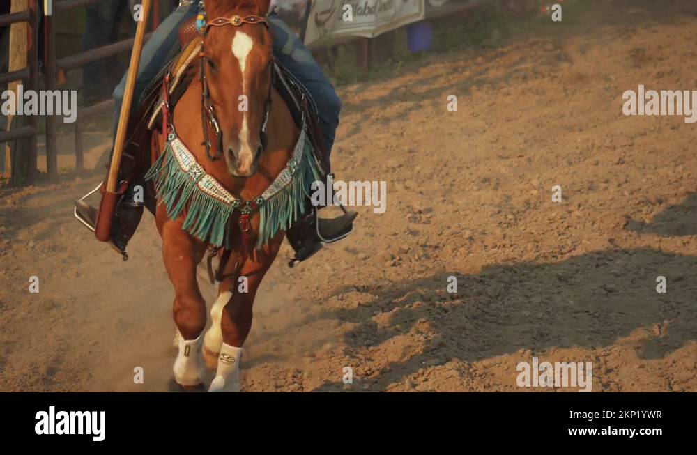 Equestrian rodeo Stock Videos & Footage - HD and 4K Video Clips - Alamy