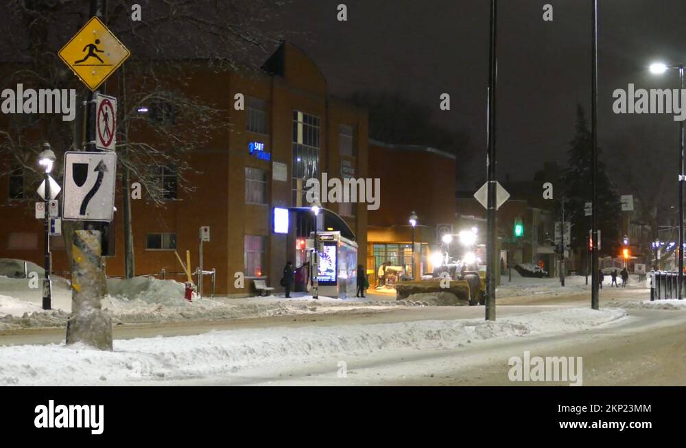 Mild night Stock Videos & Footage - HD and 4K Video Clips - Alamy