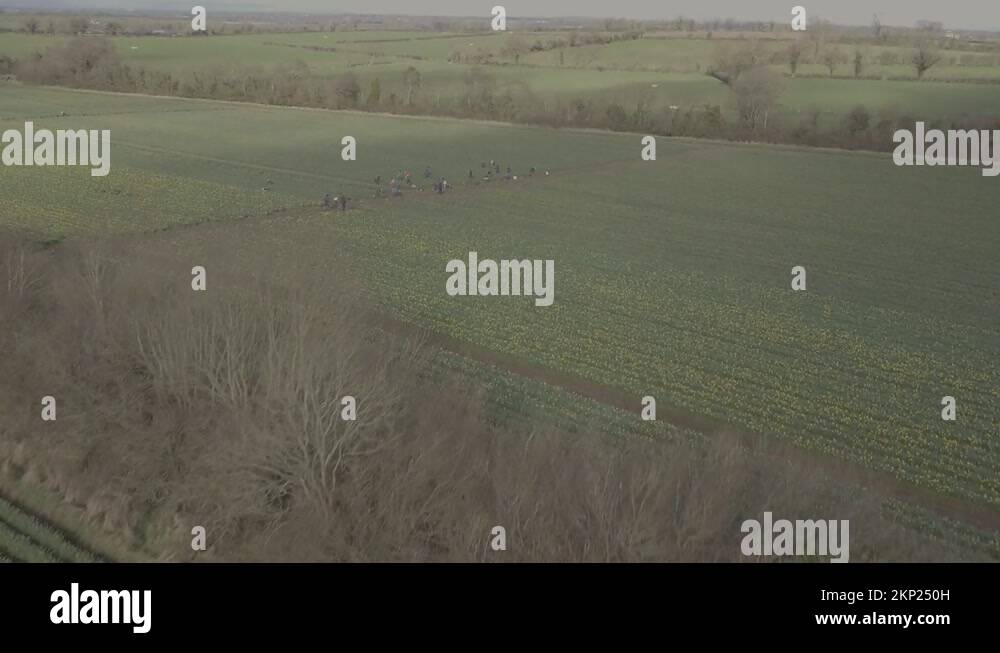 Crop farm fields rows Stock Videos & Footage - HD and 4K Video Clips ...