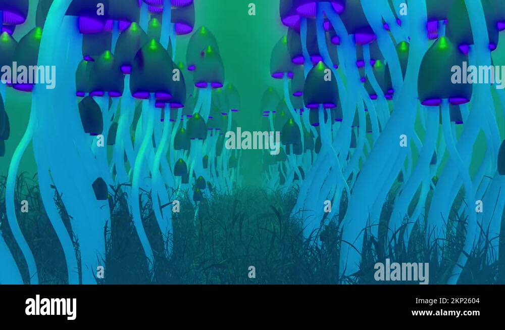 3d magic mushrooms color cycle seamless loop animation Stock Video ...