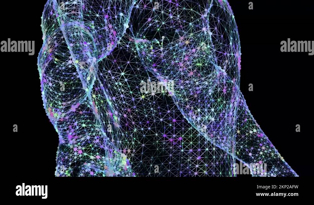 The silhouette of the human body from head to toe, woven from multi ...