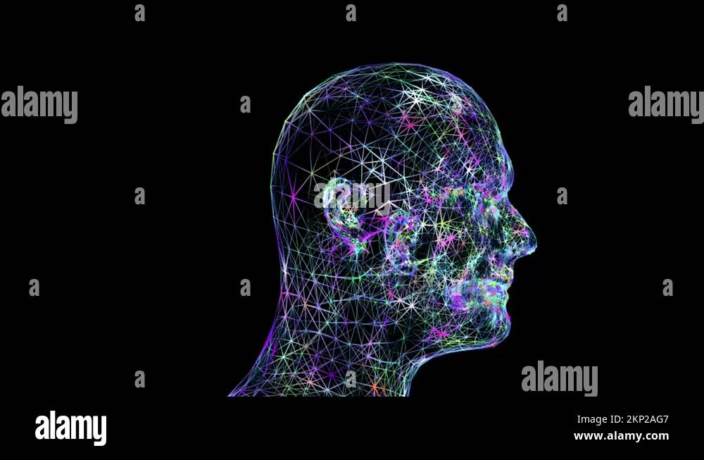 Human wireframe head Stock Videos & Footage - HD and 4K Video Clips - Alamy