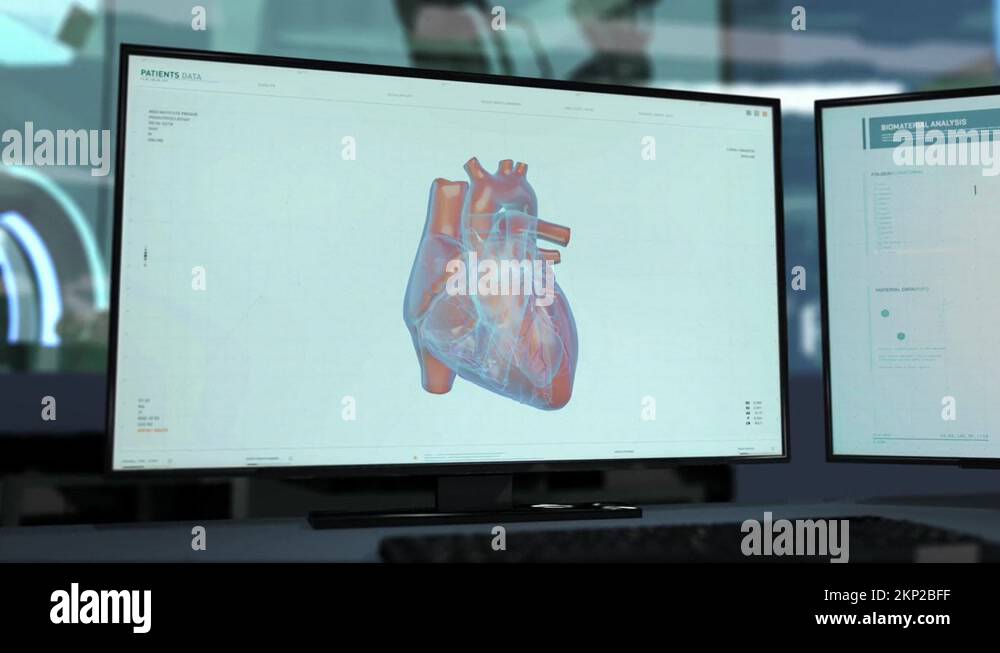 Health scans anatomy radiology Stock Videos & Footage - HD and 4K Video ...