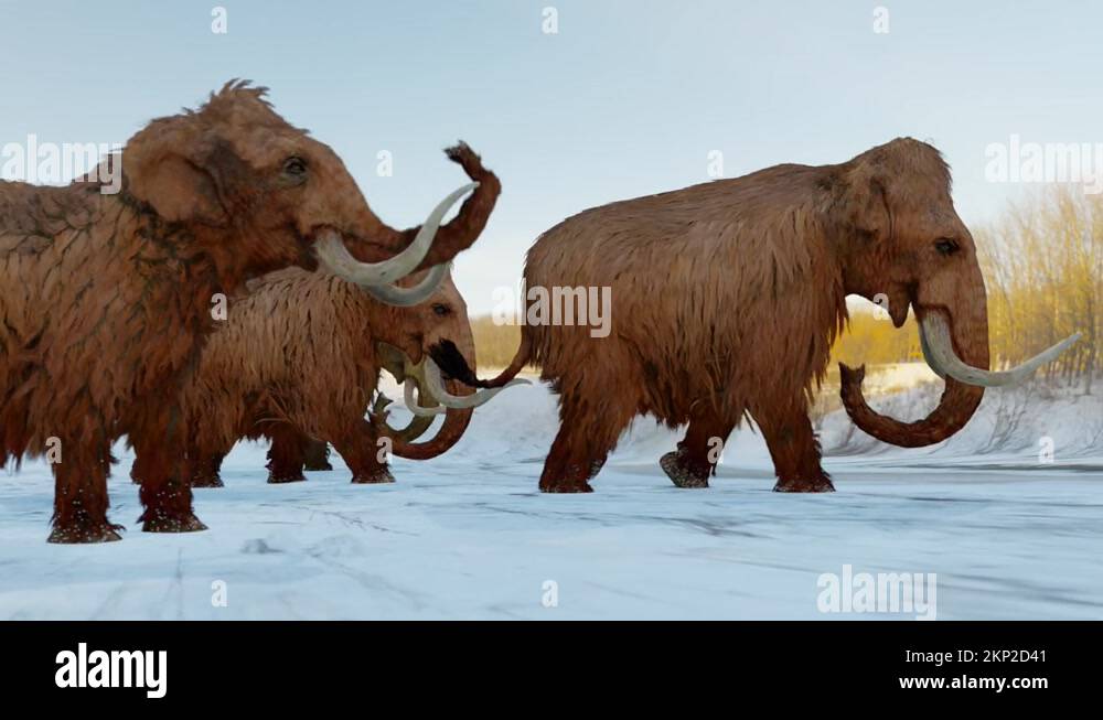 Prehistoric gathering Stock Videos & Footage - HD and 4K Video Clips ...