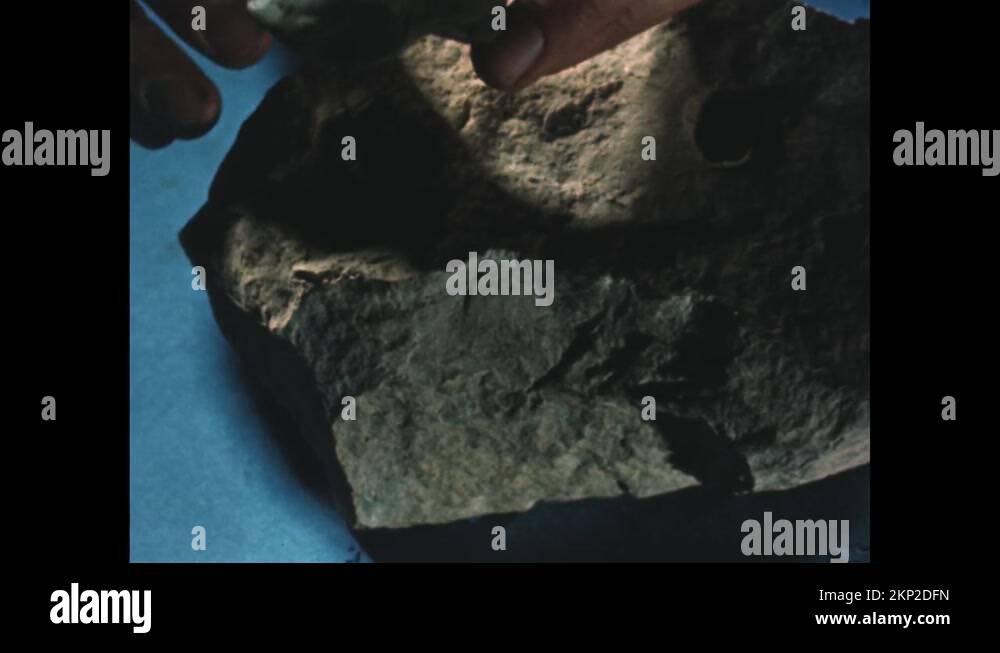 1950s: Rock on a table with an indentation fossil of a trilobite. Hands ...