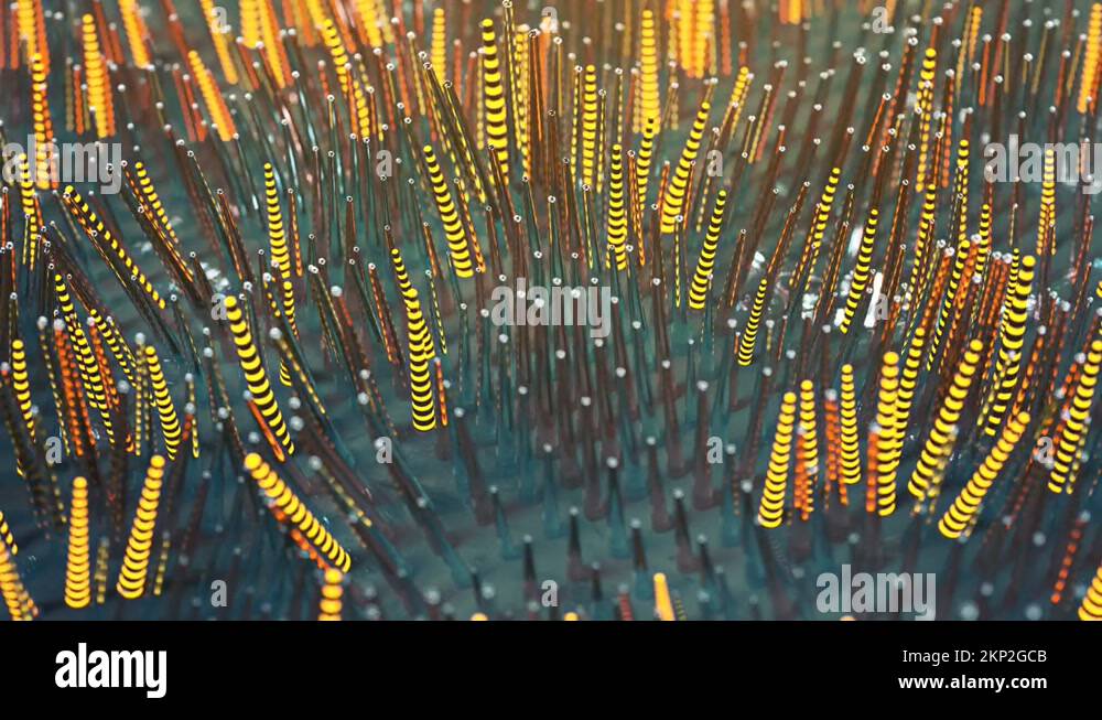 Fiber tubes Stock Videos & Footage - HD and 4K Video Clips - Alamy