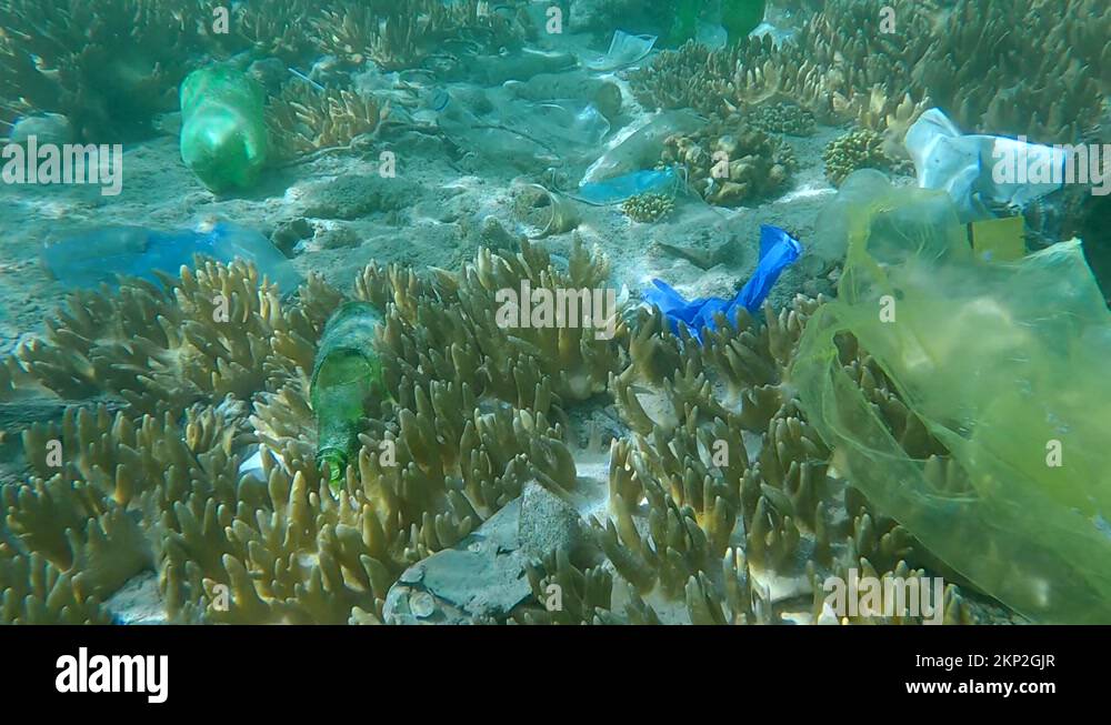 Shallow water tropical coral reef covered with plastic garbage. Plastic ...