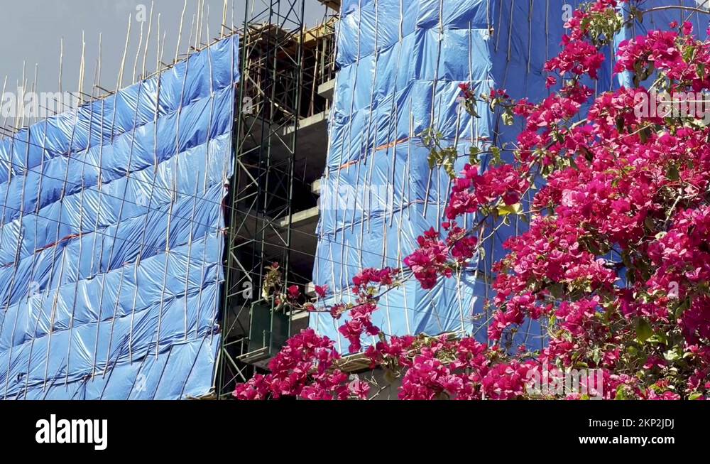 stick and bamboo scaffolding in use in addis ababa ethiopia Stock Video ...