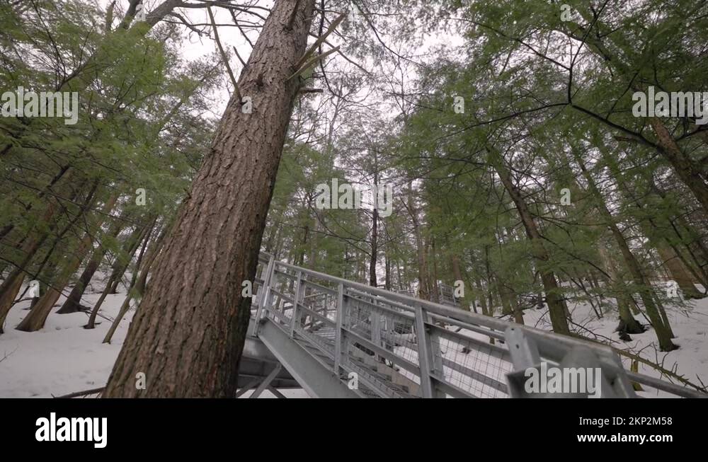 Steep Scenic Stair Leading up a Forest Cliff Hiking Trail in Winter ...