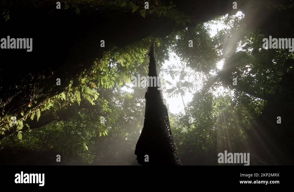 Looking up from inside a waterfall canyon with sunbeams shining through ...