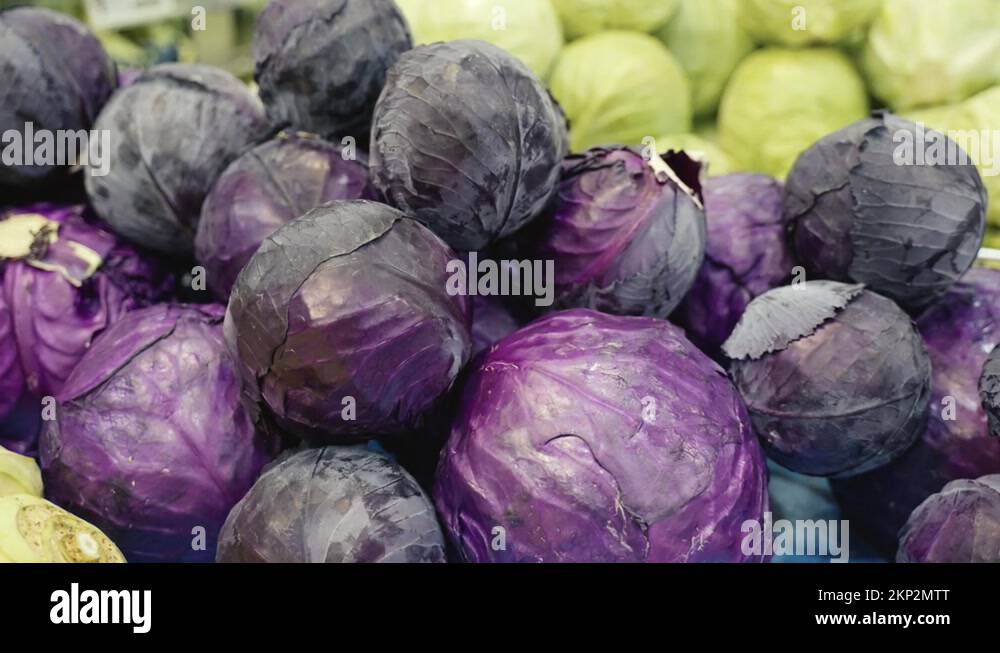 Cabbage on display Stock Videos & Footage - HD and 4K Video Clips - Alamy
