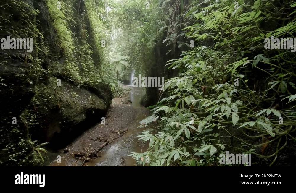 a narrow canyon with a waterfall and lush greenery growing on the rock ...