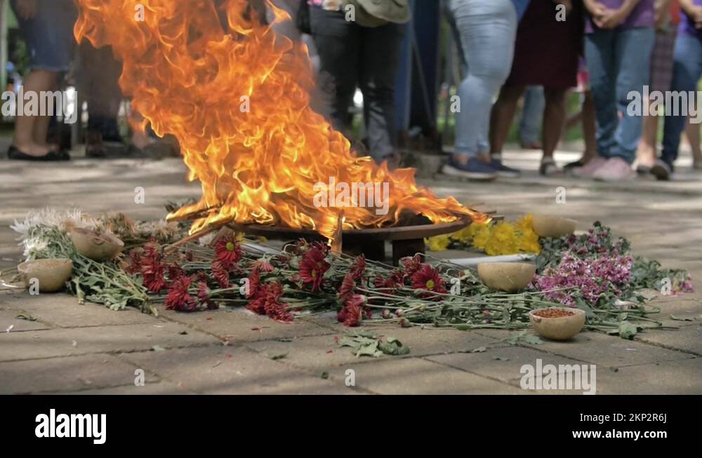 Sacrifice offering Stock Videos & Footage - HD and 4K Video Clips - Alamy