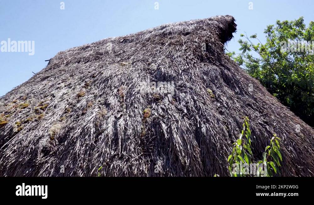 Culture mapuche Stock Videos & Footage - HD and 4K Video Clips - Alamy