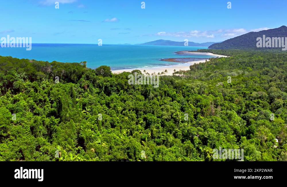 Daintree rainforest australia Stock Videos & Footage - HD and 4K Video ...