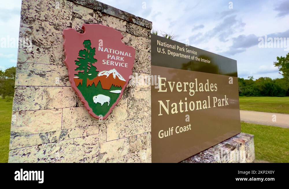 Everglades city national park florida Stock Videos & Footage - HD and ...