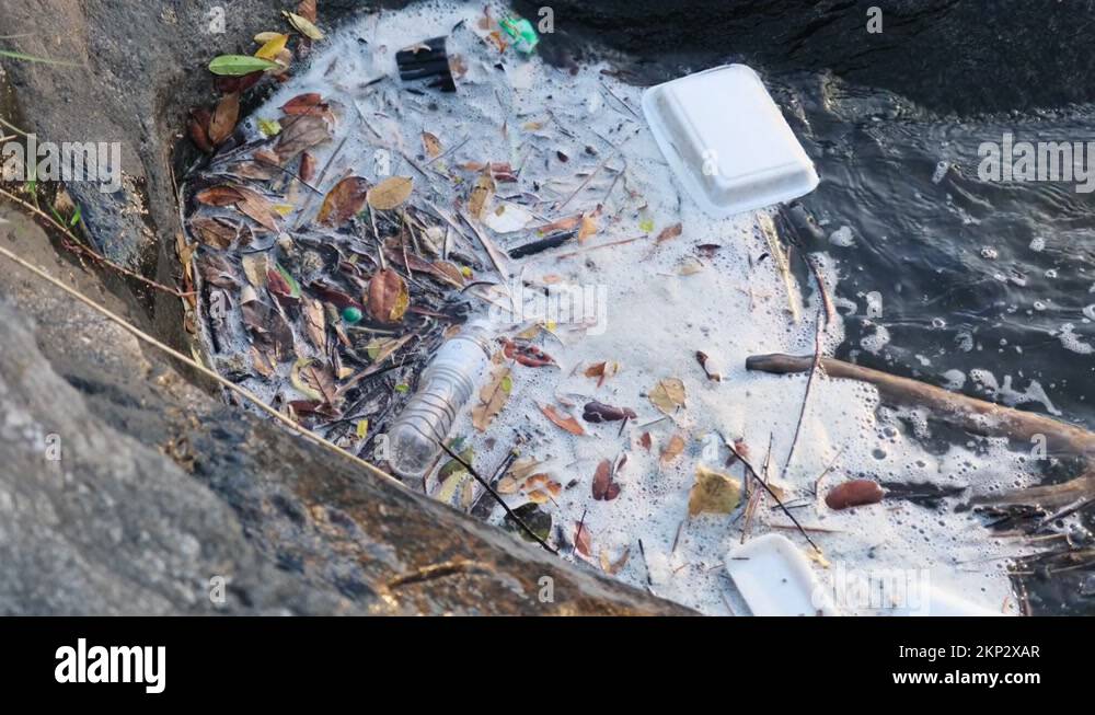 Plastic waste in the mountain stream in the forest. water pollution ...