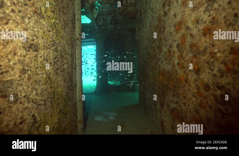 scuba shipwreck inside C53 Felipe Xicotencatl Stock Video Footage - Alamy