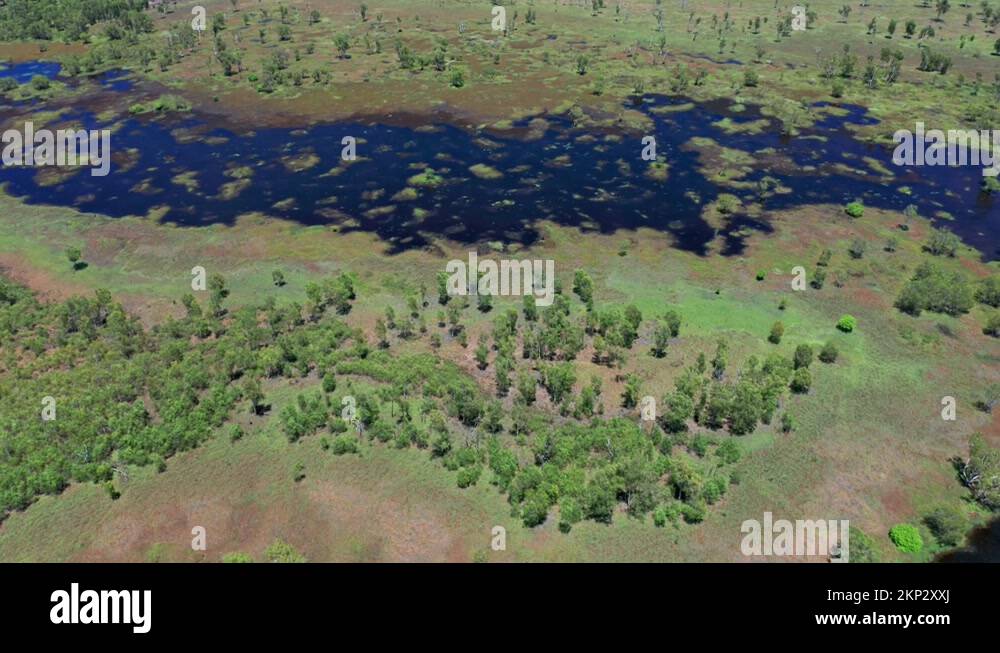 Are marshes nature reserve Stock Videos & Footage - HD and 4K Video ...