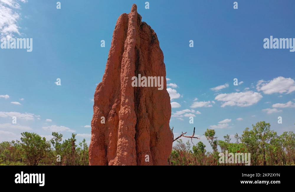 Explore in australia Stock Videos & Footage - HD and 4K Video Clips - Alamy