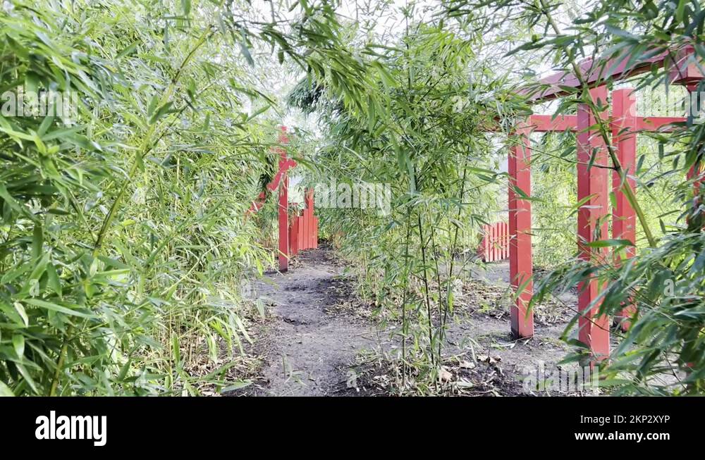 Walking poles japan Stock Videos & Footage - HD and 4K Video Clips - Alamy