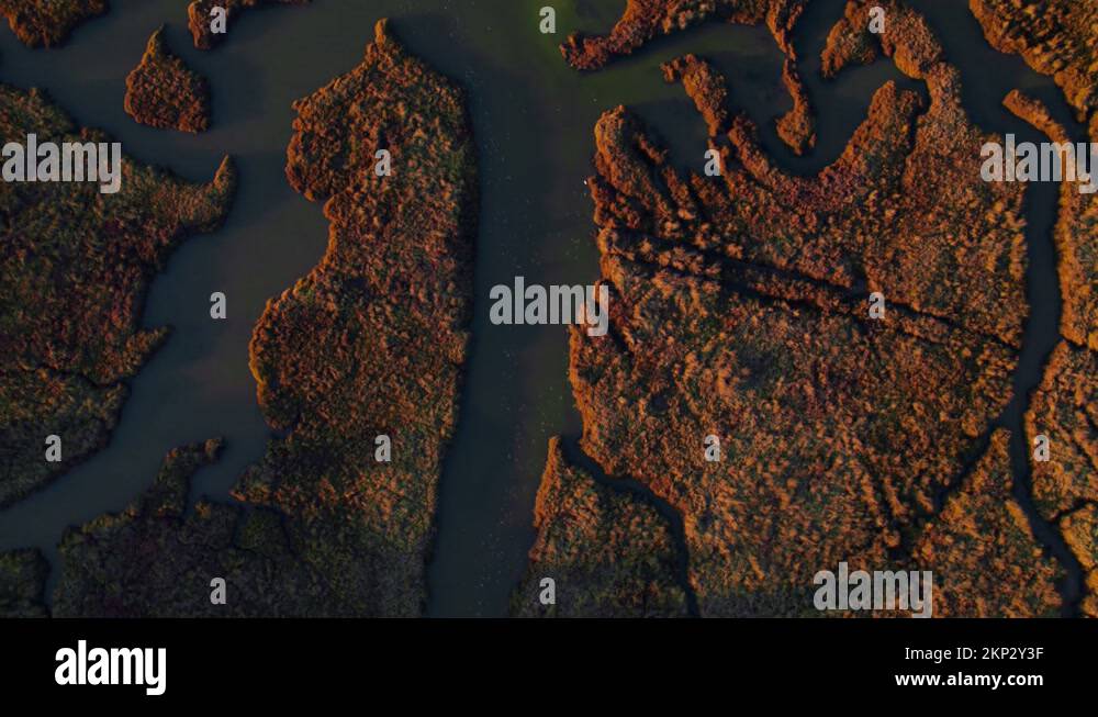 Burnt orange colour Stock Videos & Footage - HD and 4K Video Clips - Alamy