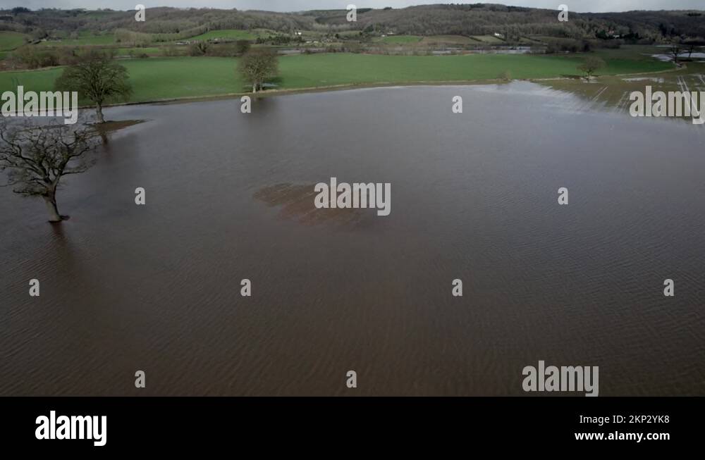 Field underwater Stock Videos & Footage - HD and 4K Video Clips - Alamy