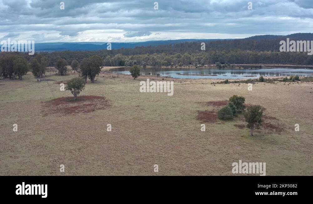 Australian nature reserve Stock Videos & Footage - HD and 4K Video ...